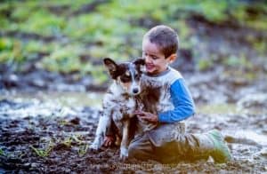 How to Cover Up Mud in a Backyard-8 Muddy Yard Solutions - The Backyard ...