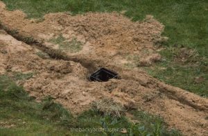 How to Dry Up a Wet Yard: Fix Your Soggy Lawn - The Backyard Master