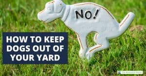 How to Keep Dogs Out of Your Yard - The Backyard Master