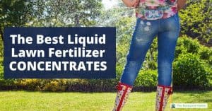 6 Best Liquid Lawn Fertilizer Concentrates: 2024 Reviews and ...