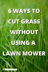 How to Cut Grass Without a Mower: 6 Brilliant Options - The Backyard Master