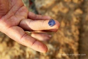 How to Find Cool Rocks in Your Backyard - The Backyard Master