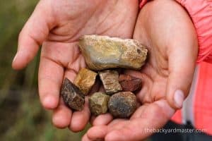 How to Find Cool Rocks in Your Backyard - The Backyard Master