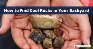 How to Find Cool Rocks in Your Backyard - The Backyard Master