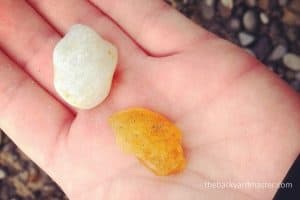 How to Find Cool Rocks in Your Backyard - The Backyard Master