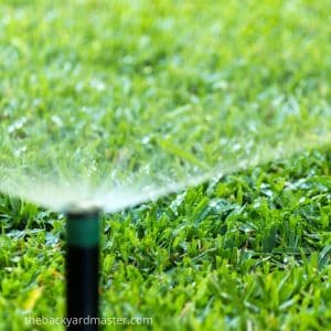 How to Top Dress Your Lawn with Compost - The Backyard Master