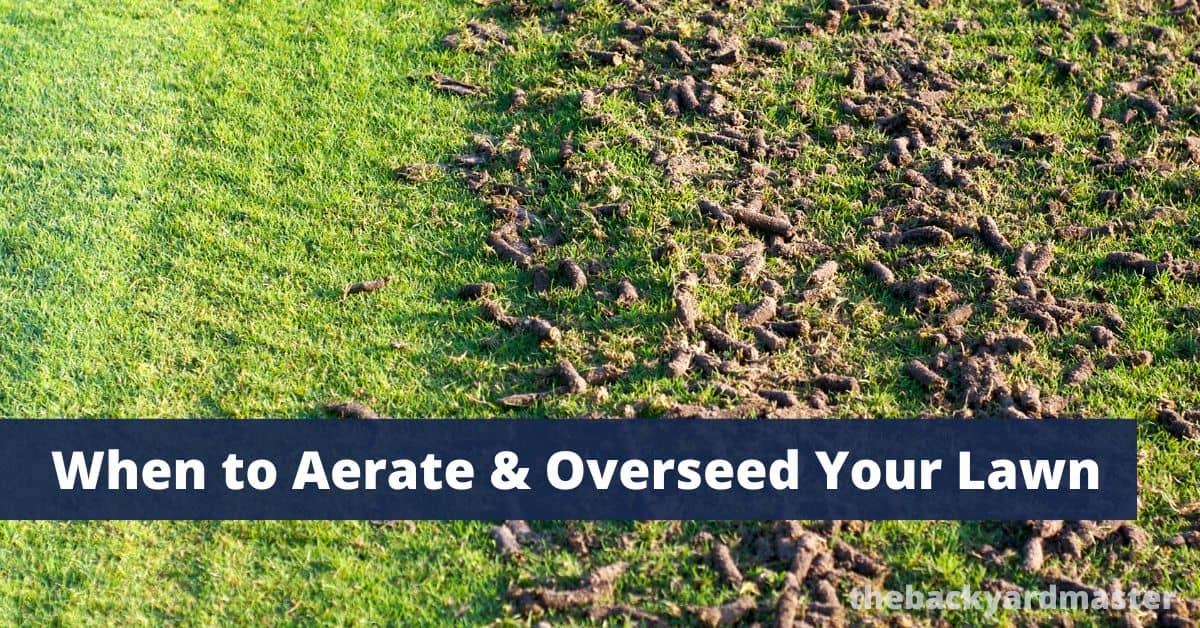 When & Why to Aerate and Overseed Your Lawn - The Backyard Master